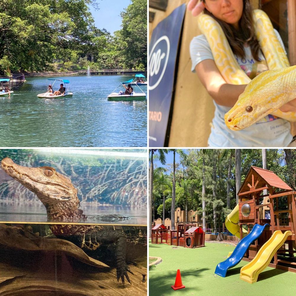 Descubre la magia del Parque Chapultepec en Cuernavaca