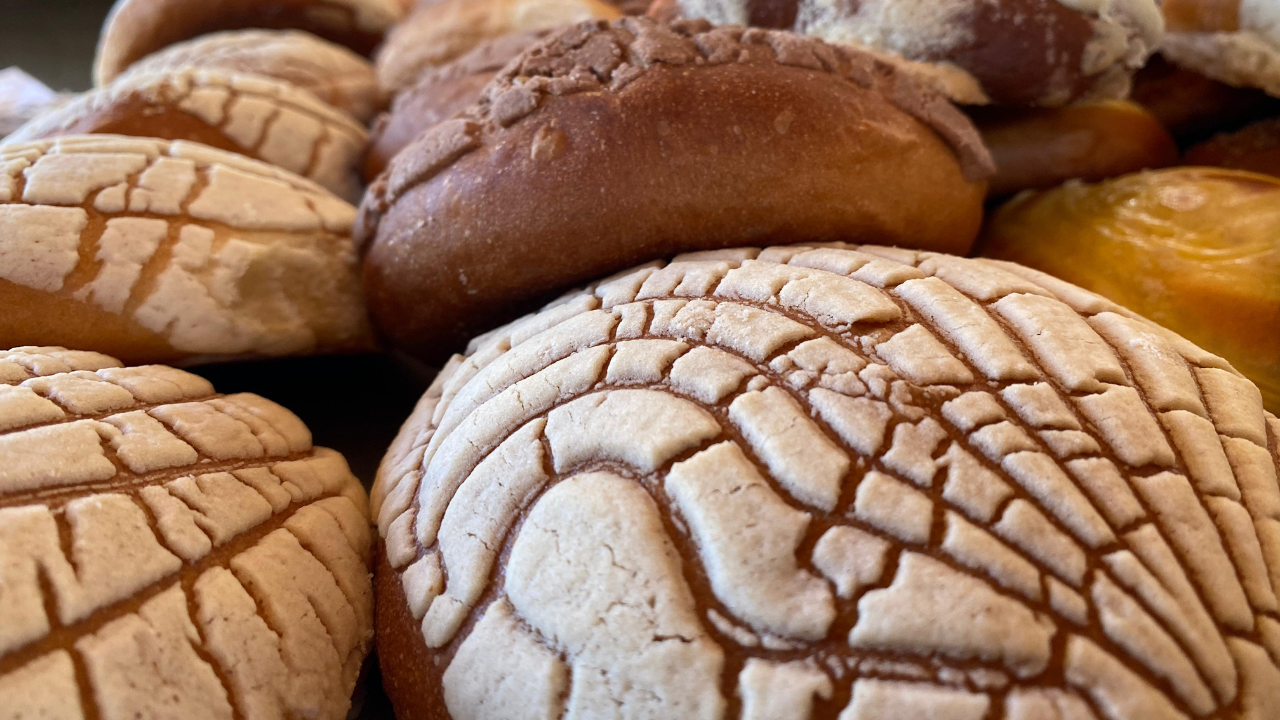 Clases de pan gratuitas en Cuernavaca en la Expo Pan Artesanal 2024