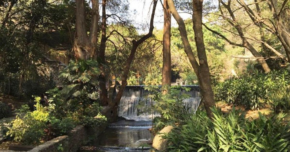 Parque Chapultepec está abierto hoy lunes - 24 Morelos