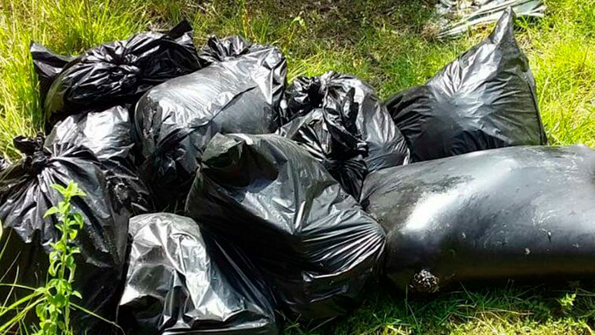 Localizan 13 bolsas con restos humanos en Jalisco - 24 Morelos