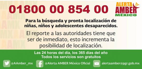 Buscan que las Alertas Amber se envíen a través de SMS y WhatsApp - 24 ...
