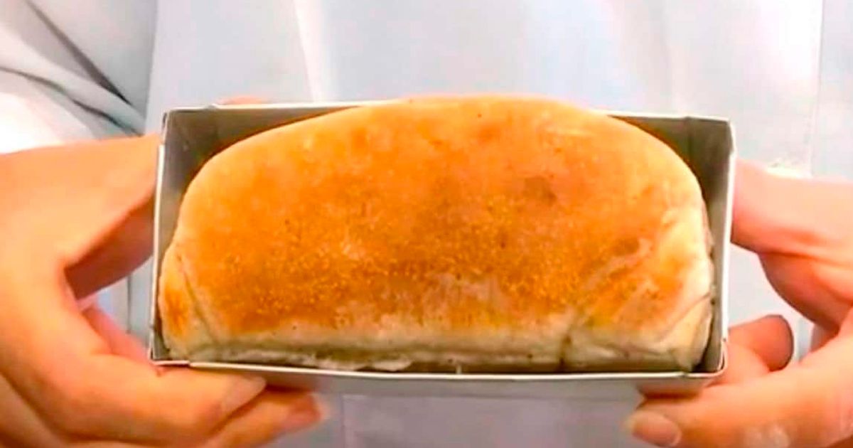 Crean pan hecho de cucarachas - 24 Morelos