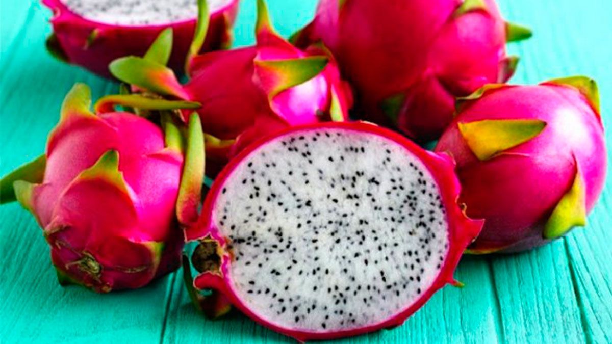 Beneficios de la pitahaya - 24 Morelos