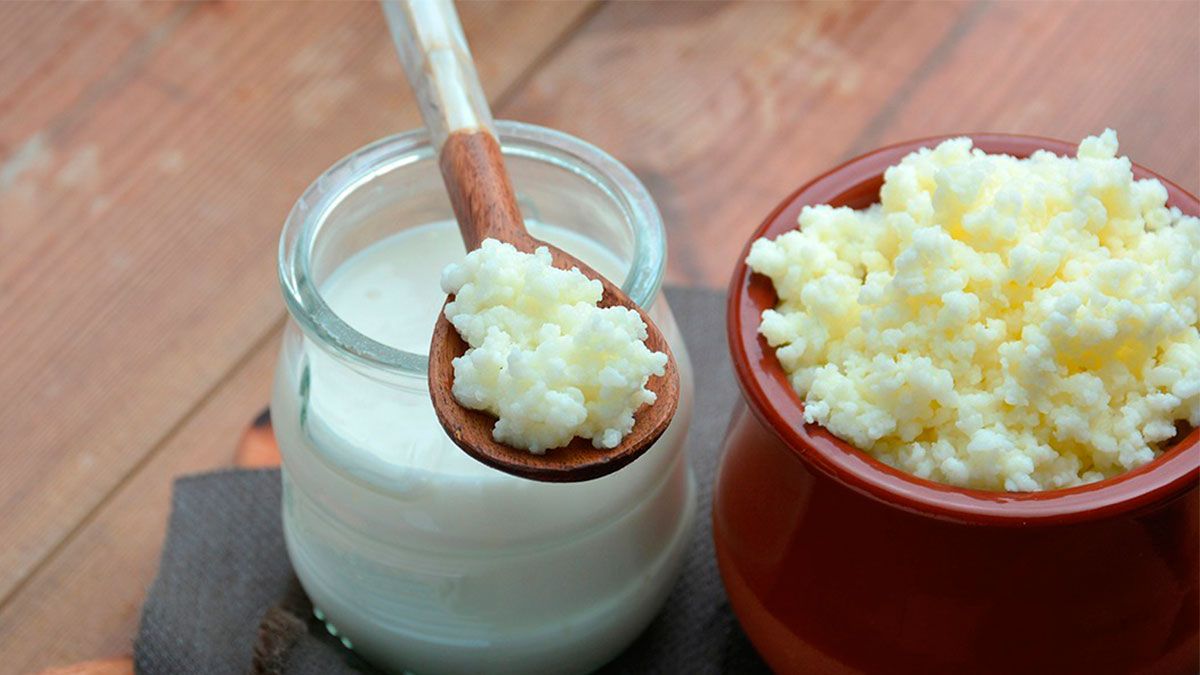 ¿Conoces los búlgaros? - 24 Morelos