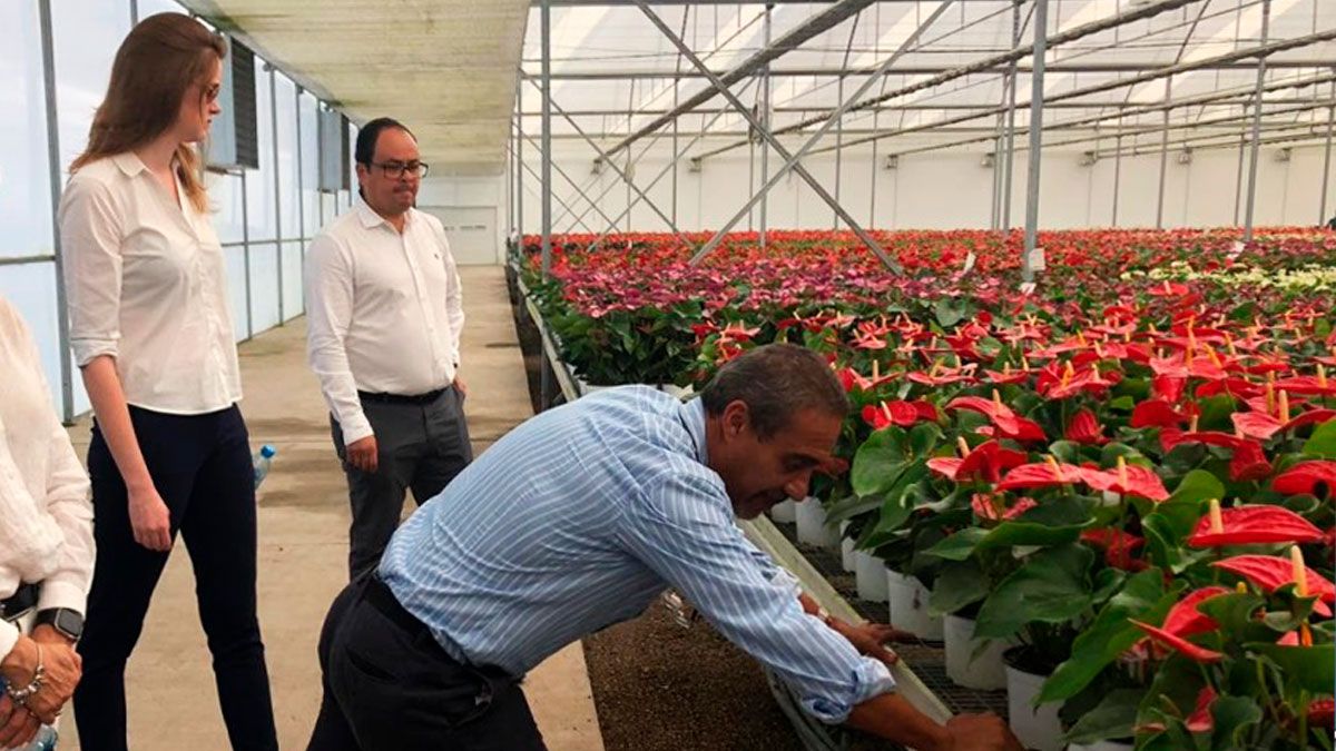 Visitan empresarios extranjeros Agroparque Yecapixtla y Flora Plant ...