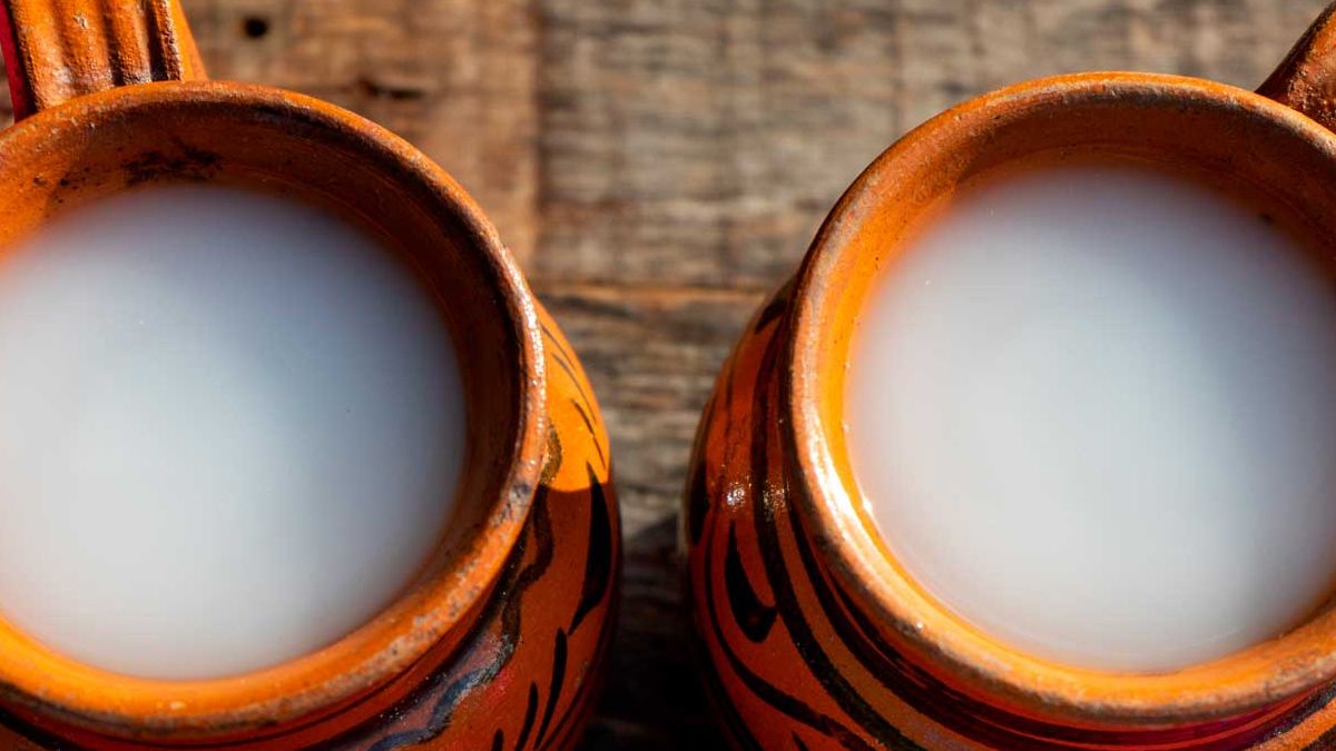 ¿Te gusta el pulque? Estos son los beneficios - 24 Morelos